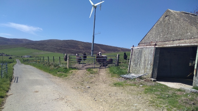 St Magnus Way – Finstown to Orphir – Walking without a donkey