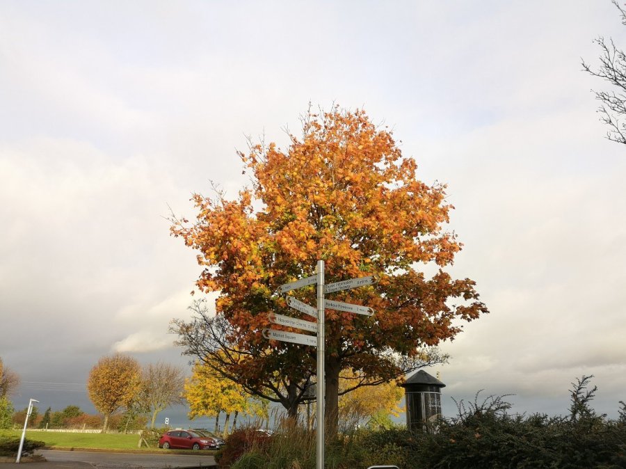 Pilgrimage for COP26 – Bo’ness to Falkirk – Walking without a donkey