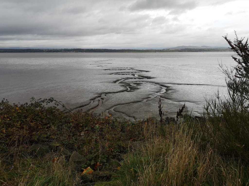 Pilgrimage for COP26 – Bo’ness to Falkirk – Walking without a donkey