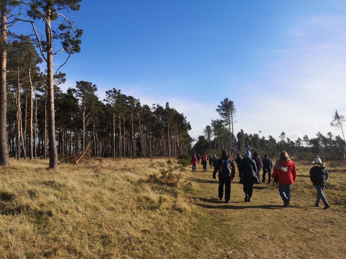 Community Walking Projects – Walking without a donkey