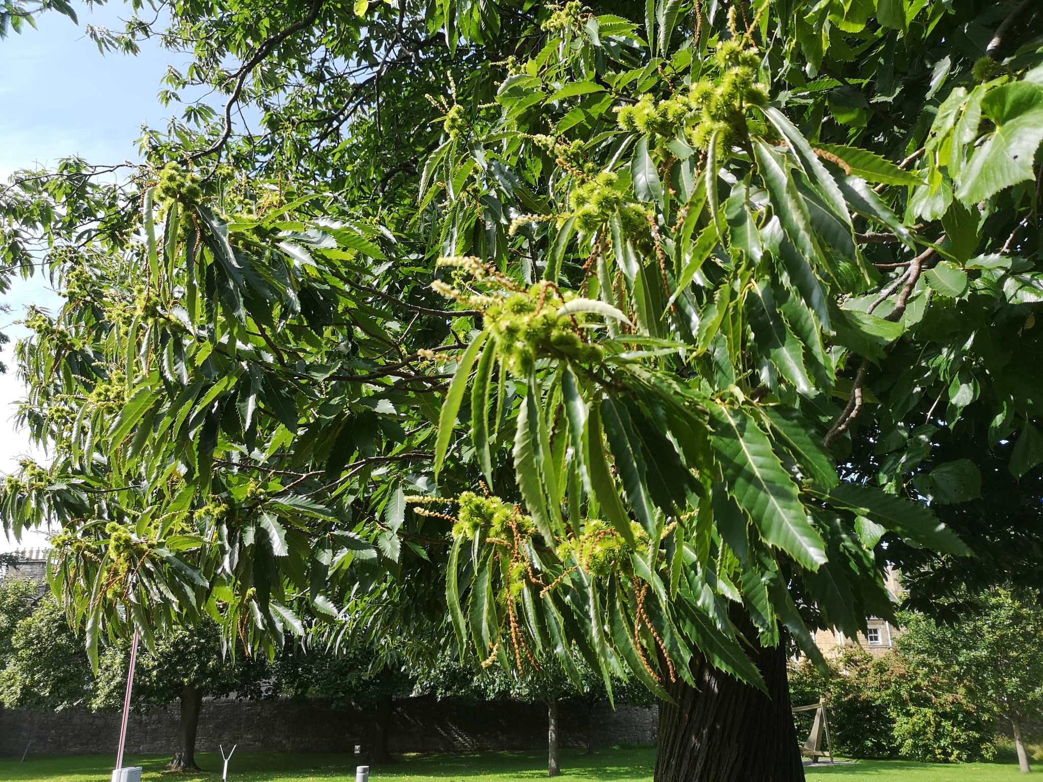 Walking without a donkey – Travel blog