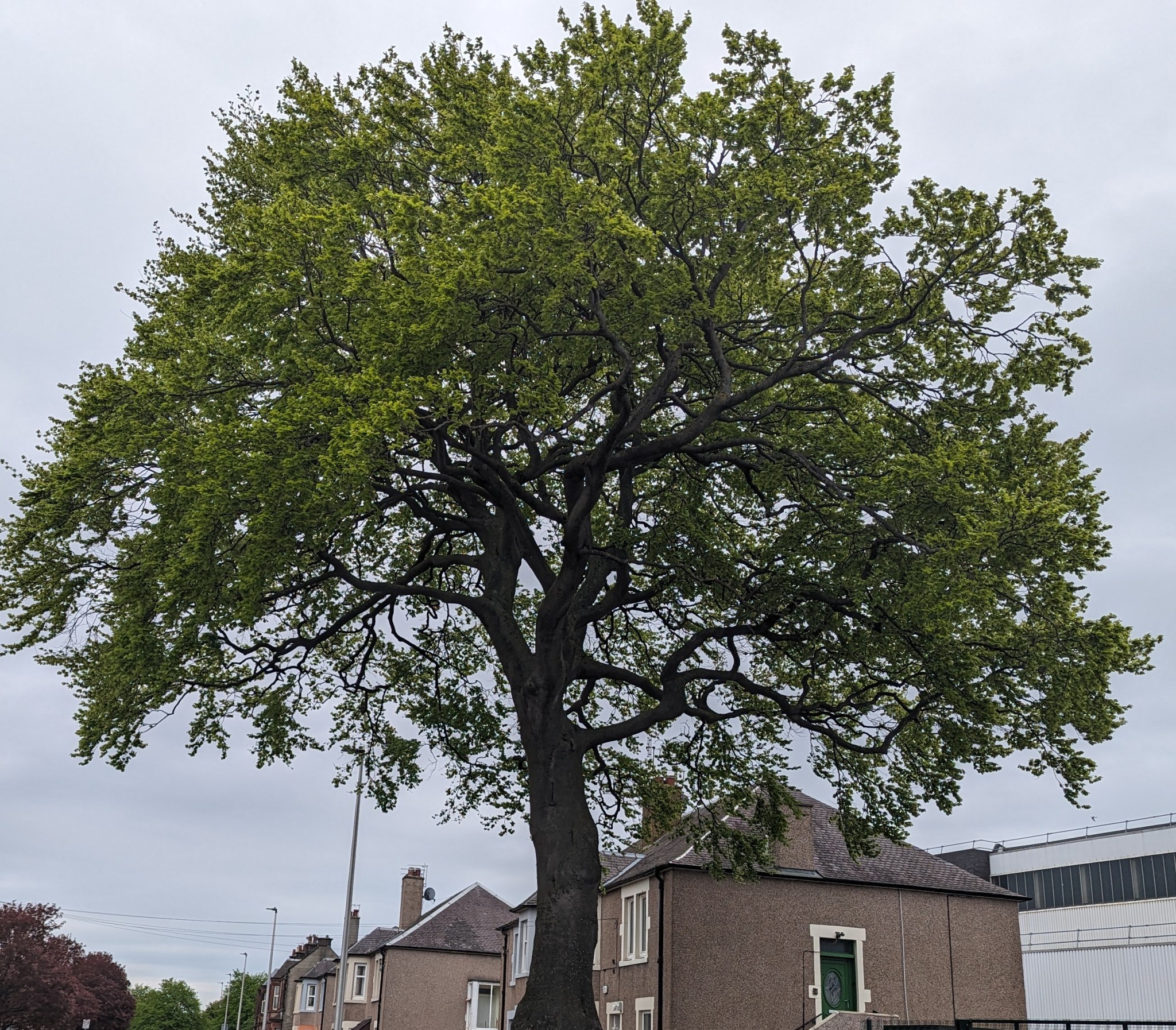 Walking without a donkey – Travel blog